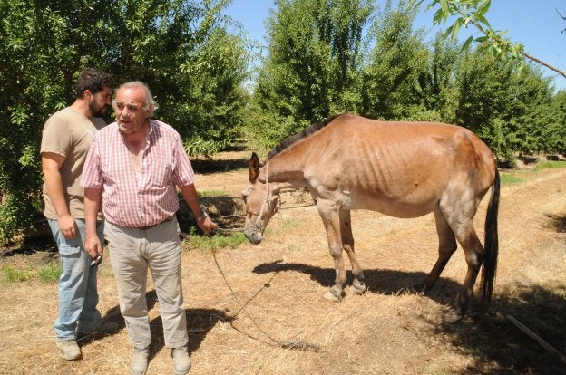 Mujeres Solteras En Hacienda Ecuador Guayaquil Ecuador - Servicio De ...