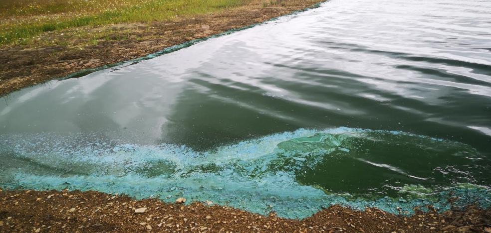 El color verde azulado del agua del pantano de Villar del Rey se debe a ...
