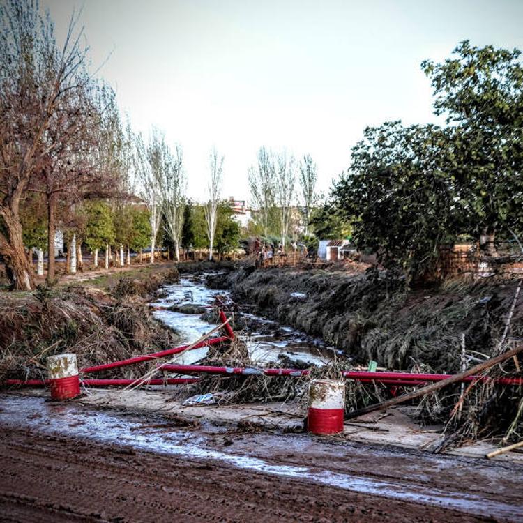 Ribera del Fresno | Hoy Ribera del Fresno | Hoy