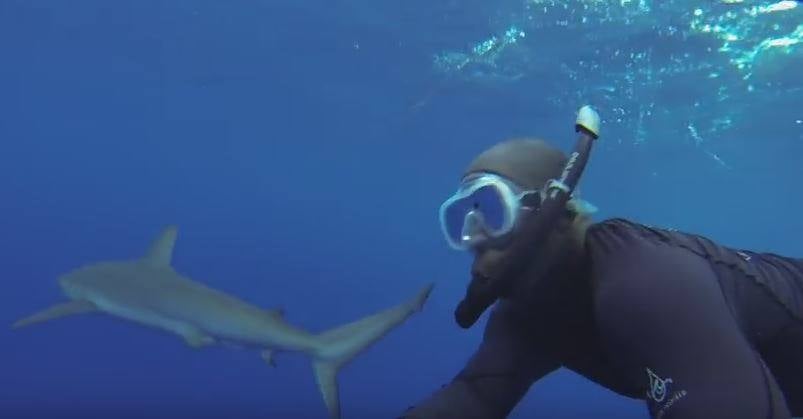 Bañarse entre tiburones | Hoy